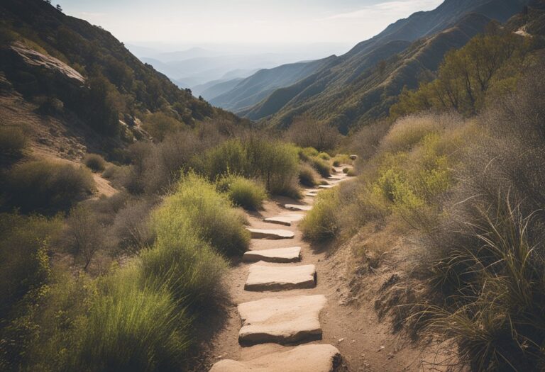 Fullerton Loop MTB & Hiking Trail: Nature's Playground 2024